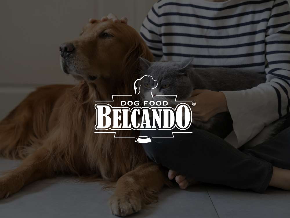 Belcando - Bewe srl